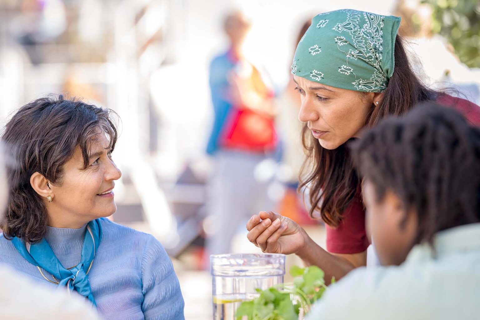 Reach inoX-CIC Li - Rexton